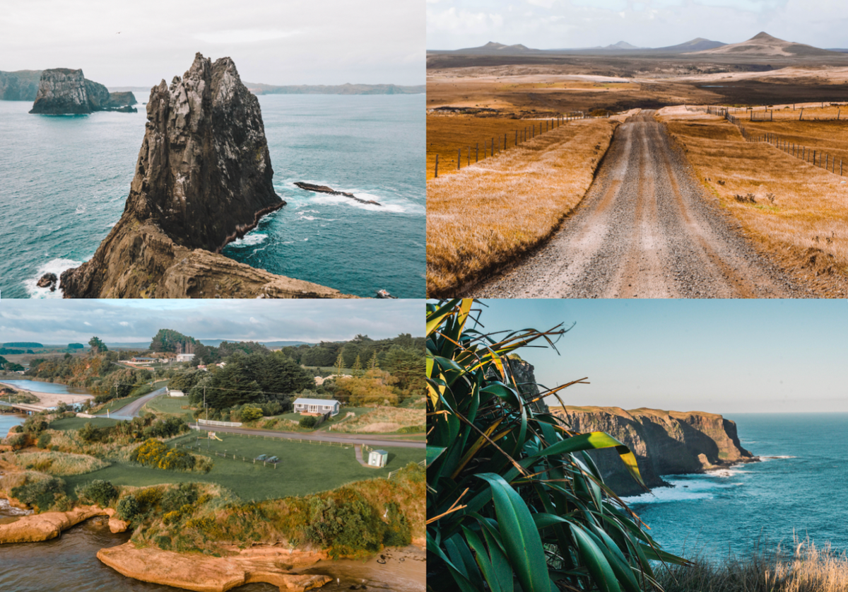 Our Crash Course on the Chatham Islands – Chatham Island Food Company
